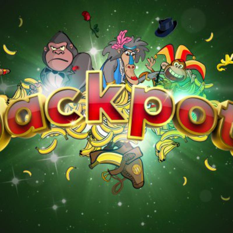 Jacpottal ütötték a Majom maffiát